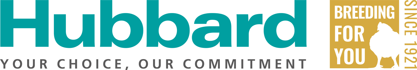 Broiler breeds – day-old chicks - Pluriton